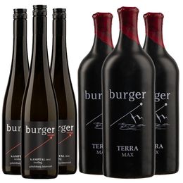 Weingut & Rebschule Burger -Paket Riesling Trocken - Verschiedene Regionen &ndash; Probierpaket Diverse