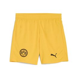 Puma Workout Pants 'Borussia Dortmund 25/26' boy Yellow size 128