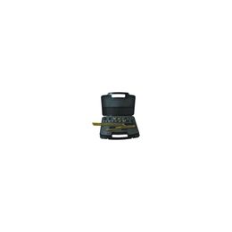 R&auml;umnadel-Set HSS 20-teilig Gr. 2-8mm Hassay Savage IBT (R15440DIN)
