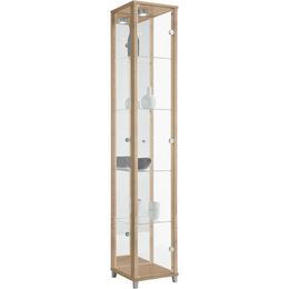 Fif M&ouml;bel FIF M&Ouml;BEL Vitrine &raquo;OPTIMA&laquo; Standvitrine/Glasvitrine 1x Glast&uuml;r, perfekt f&uuml;r Sammler, Sammlervitrine Eichefarben s&auml;gerau Ma&szlig;e (B/T/H): 32/33/172