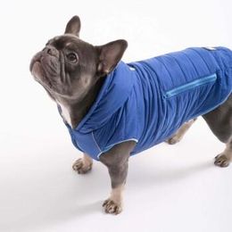 PAW WOW Hundejacke IMMI Blau L