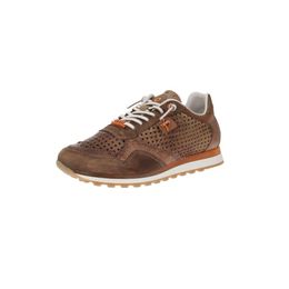 CETTI Sneaker low C-848 EXP V25 in Braun | Gr.: 41