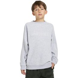 Element Jungen Sweatshirt &raquo;Cornell 90s&laquo; grau 16(165-172cm)