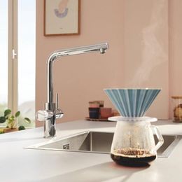 Grohe Blue Pure K&uuml;chenarmatur, f&uuml;r Filtersystem, schwenkbar, 30600000,