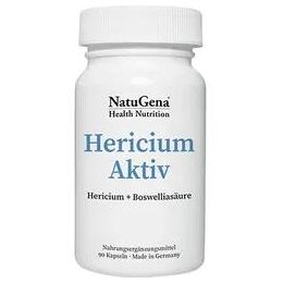 Hericium Aktiv 90 ST