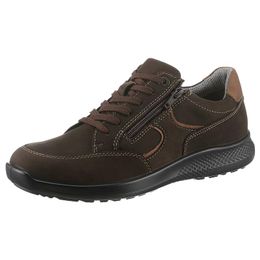 Jomos Schnürschuh »Campus«, Halbschuh, Bequemschuh, Sneaker in extraweiter Form dunkelbraun 40 40 Bequemer Schnürschuh mit praktischen...