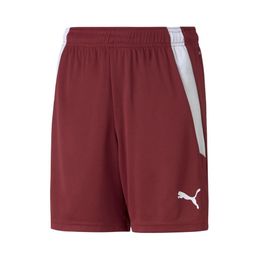 Puma Workout Pants 'TeamLiga' boy Red size 116