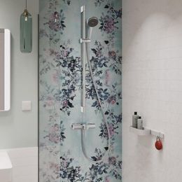 Hansgrohe Activera Select S Brausegarnitur mit Stange, 2 Strahlarten, 28046000,