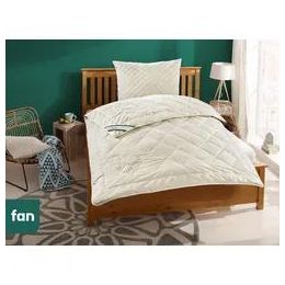 f.a.n. Naturhaarbettdecke FAN "Gobi, Bettdecken f&uuml;r Sommer und Winter, temperaturausgleichend", beige (natur), B:155cm L:220cm, Bezug: 100% Baumwolle. F&uuml;llung: 97% Kamelhaar, 3% sonstige Fasern, Bettdecken, Klimatisierende Kamelhaar-F&uuml;llung - Made in Germany