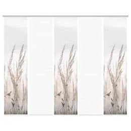 Schiebegardine Vision S "RELVA", beige (natur), B:60cm H:260cm, Polyester, Gardinen, DIGITALDRUCK