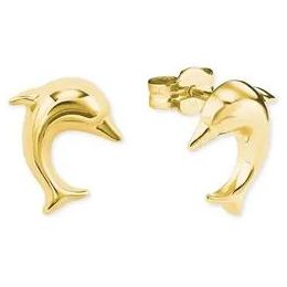 Paar Ohrstecker Amor "9979356", gold (goldfarben), Ohrringe, Damen, Gelbgold 585