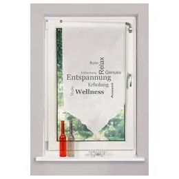 Scheibengardine Home Wohnideen "AUSZEIT" Gr. 1, grau, B:40cm H:80cm, Voile, Polyester, Gardinen, DIGITALBEDRUCKT, VOILE, SCHAUBE