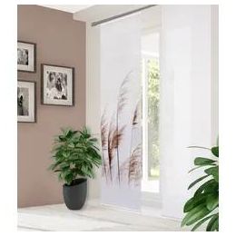 Schiebegardine HOME IN GREEN "PAMILO" Gr. 1, beige (naturfarben), B:60cm H:245cm, Polyester, Gardinen, DIGITALBEDRUCKT, BAMBUSOPTIK RECYCELT