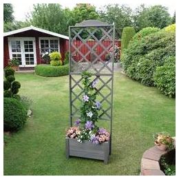 Rankhilfe Promadino "Botanica", grau, B:69cm H:210cm T:32cm, Holzwerkstoff, Rankhilfen, Rankkasten, BxTxH: 69x32x210 cm