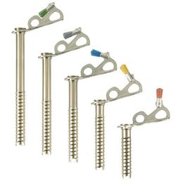 Black Diamond Express Ice Screws - Eisschrauben