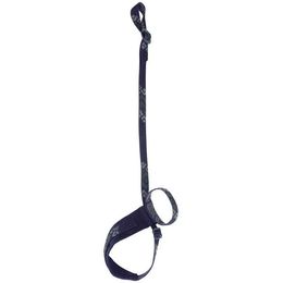 Black Diamond Lock Down Leash - Fixierleine für Pickel