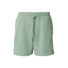 Hollister Shorts Herren Gr&ouml;&szlig;e 29/30 mint