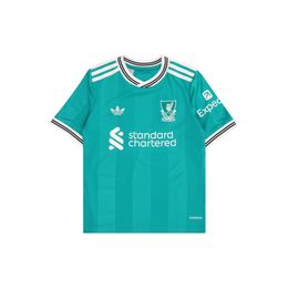 adidas Performance Funktionsshirt 'FC Liverpool 25-26' Jungen Gr&ouml;&szlig;e 176 hellgr&uuml;n / schwarz / wei&szlig;