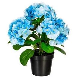 Kunstpflanze Creativ green "Hortensienbusch", blau, H:40cm Ø:12,5cm, Kunststoff, Kunstpflanzen