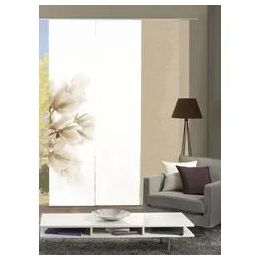 Schiebegardine Home Wohnideen "KESSI 3er SET" Gr. 1, beige (sand), B:60cm H:245cm, Polyester, Gardinen, Schiebevorhang Digidruck 3er Set KESSI