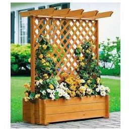 Spalier Promadino, braun (honigbraun), B:102cm H:140cm T:65cm, Holzwerkstoff, Rankhilfen, Pergola mit Pflanzkasten, BxTxH: 102x65x140 cm