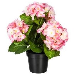Kunstpflanze Creativ green "Hortensienbusch", rosa, H:32cm, Kunststoff, Kunstpflanzen