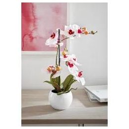 Kunstorchidee Home Affaire "Ernestine", rosa, H:42cm, Kunststoff, Kunstpflanzen, Kunstpflanze, im Topf
