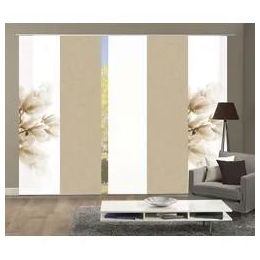 Schiebegardine Home Wohnideen "KESSI 5er SET" Gr. 1, beige (sand), B:60cm H:245cm, Polyester, Gardinen, Schiebevorhang Digidruck 5er Set KESSI