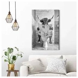Deco-Panel Reinders "Highlander Toilet", schwarz (farbe bild(er): schwarz), B:60cm H:90cm T:2cm, Holzwerkstoff, Bilder
