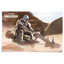 Poster Reinders "The Mandalorian - Speederbike", beige (farbe bild(er): beige), B:91,5cm H:61cm T:0,1cm, Papier, Bilder