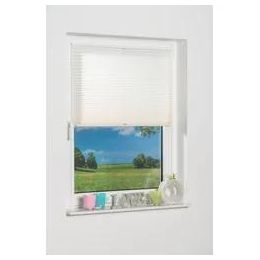 Plissee K-home "Klemmfix Pisa", beige (creme), B:120cm H:130cm, Obermaterial: 100% Polyester, Plissees, Crushed-Optik