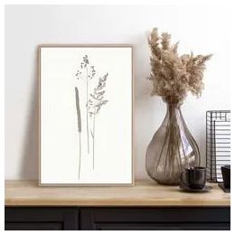 Bild mit Rahmen Reinders "Dried Flowers", beige (farbe bild(er): beige), B:20cm H:30cm T:1,6cm, Holzwerkstoff, Bilder