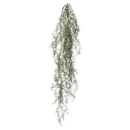 Kunstranke Creativ green "Tillandsia", grau (grau, grün), H:120cm, Kunststoff, Kunstpflanzen, mit filigranen Ranken