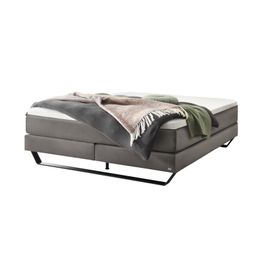 Hasena Pronto Julieta Boxspringbett metall/schwarz