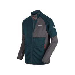 Regatta Softshelljacke Hybrid Foley in Dunklegrün | Gr.: 3XL
