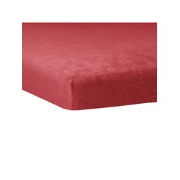 Traumschlaf Spannbettlaken Flauschbiber Topper in burgund | Gr.: 180x200 cm - 200x200 cm
