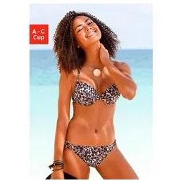 Push-Up-Bikini Lascana, Damen, Gr. 34, Cup A, braun (braun, bedruckt), Polyamid, Bikini-Sets