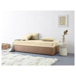 Polsterliege Maintal "Diana", braun (cappuccino), B:93cm L:203cm, Komplettbetten