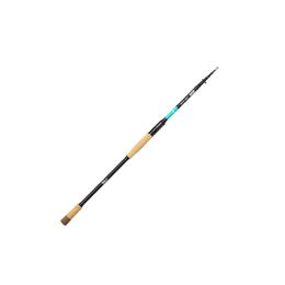 Fishing-King Tackle Tele Ansitz 3,00m 10-60g