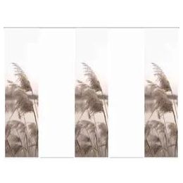 Schiebegardine Home Wohnideen "TRAWY" Gr. 1, beige (natur), B:60cm H:245cm, Polyester, Gardinen, Schiebevorhang Digi 5er Set TRAWY