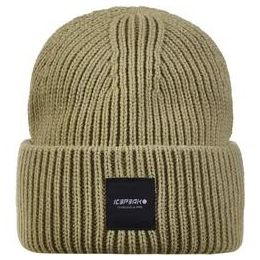 Strickmütze Icepeak "HANAMAULU", Herren, beige, Strick, Microfaser, unifarben, Mützen