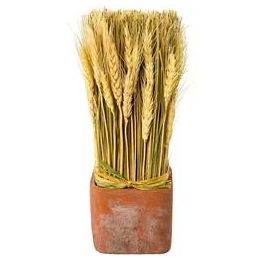 Trockenblume CREATIV HOME "Trockenblumen imTopf", rosa, B:10cm H:30cm, Kunstpflanzen