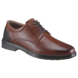 Schn&uuml;rschuh Josef Seibel "Alastair", Herren, Gr. 40, braun (cognac), Glattleder, used, Schuhe Schn&uuml;rschuh, im leichten Used-Look, Freizeitschuh, Halbschuh, Schn&uuml;rschuh