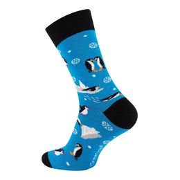 Vincent Creation Socks female Blue size 41-45