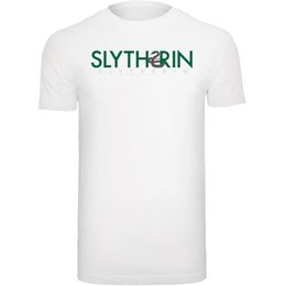 F4NT4STIC Shirt 'Harry Potter Slytherin' Herren Größe 5XL silbergrau / grasgrün / weiß