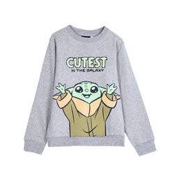 Cerda Sweatshirt Star Wars in Grau | Gr.: 140