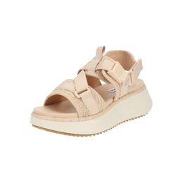 Steve Madden Sandalen in Natural | Gr.: 42