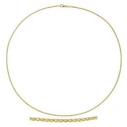 Collierkettchen Firetti "Schmuck Geschenk Gold 375 Stegankerkettengliederung 1,6 mm breit" Gr. 60, gold (gelbgoldfarben), Halsketten, Damen, 60, Gelbgold 375, B: 1,6mm, Made in Germany, B:1,6mm