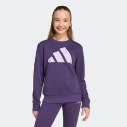 Sweatshirt adidas Sportswear "JG BL FT SWT", Kinder, Gr. 128, aurora plum, powder plum, Obermaterial: 55% Baumwolle, 36% Polyester, 9% Viskose, Sportlich, Rundhals, Sweatshirts