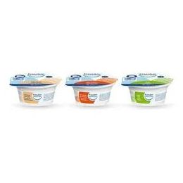 Fresenius Fresubin Dessert Fruit Mischkarton 3000 G